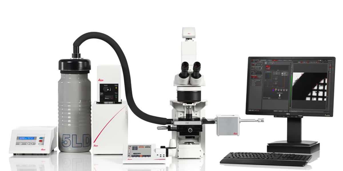 How to Harness the Power of Electron Microscopy - Bitesize Bio ...