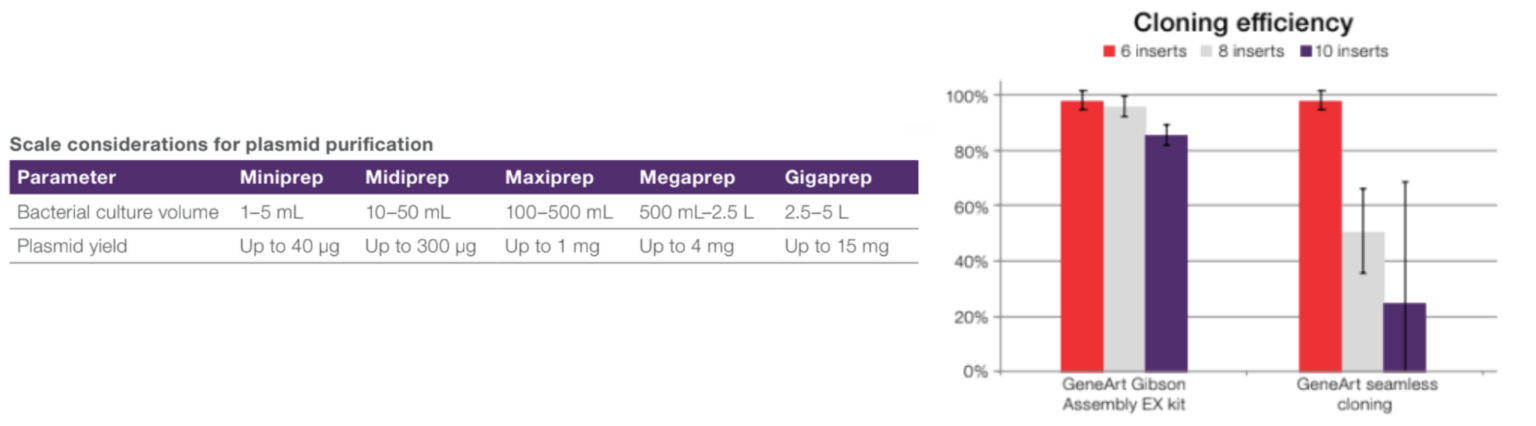 Molecular Cloning Handbook: Simplify your workflow