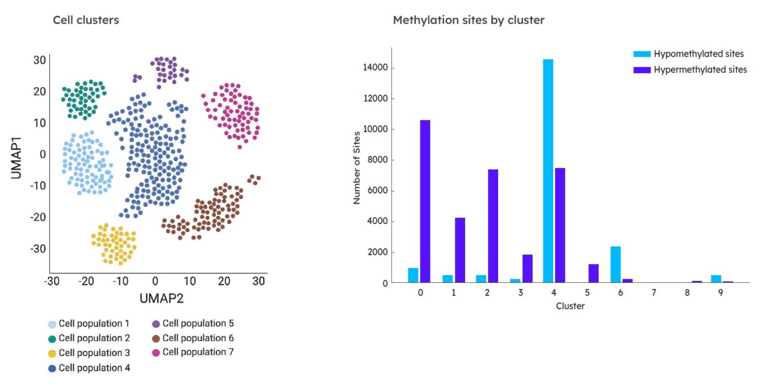 DNA Methylation eBook